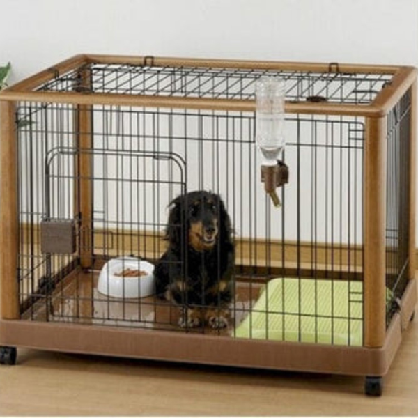 Best dog products in our selection of new arrivals. – All Dog Kennels